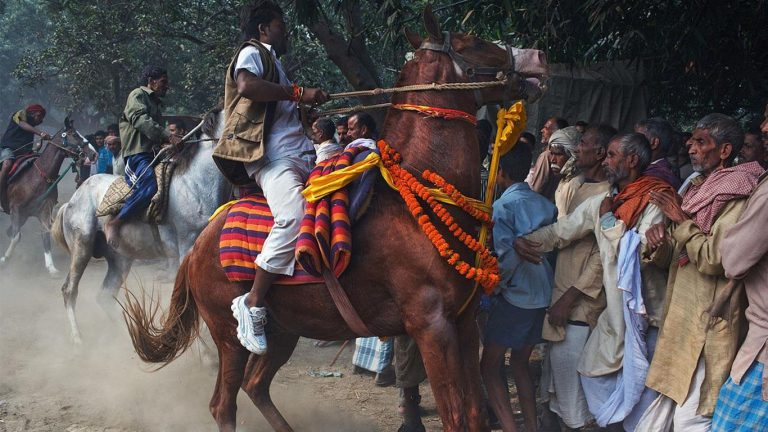 The Sonepur Mela - Creative Travel I A family story since 1977
